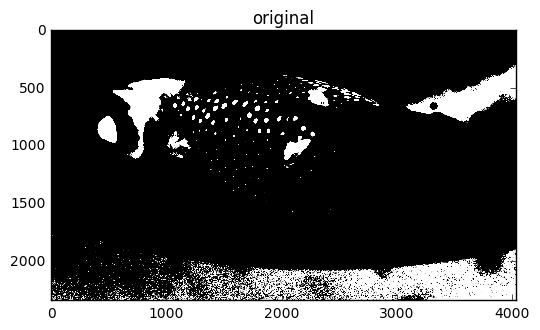 1 Image Analysis — Data Analysis Techniques In Marine Science